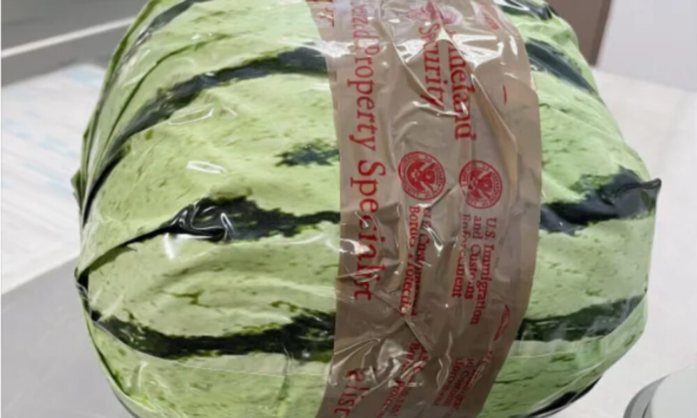 $5 Million Worth of Meth Found Hidden in Fake Watermelons at US-Mexico ...