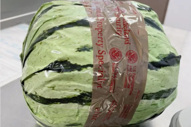 $5 Million Worth of Meth Found Hidden in Fake Watermelons at US-Mexico ...