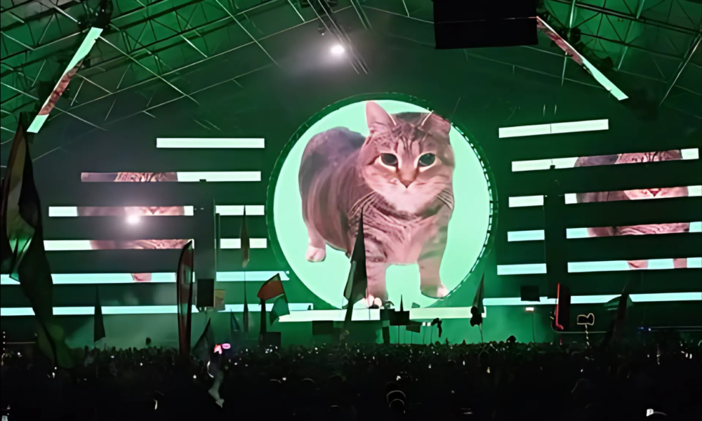 W&W Turn Memes Into Music With OIIA OIIA (Spinning Cat) - EDM Army