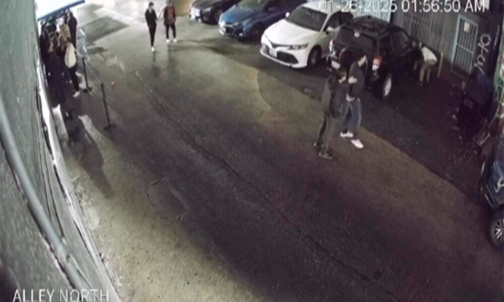 New Footage Emerges in Amanda Torres Murder Investigation - EDM Army